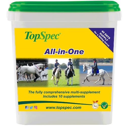 Top Spec All in One Supplement 4kg – The Blue Barn