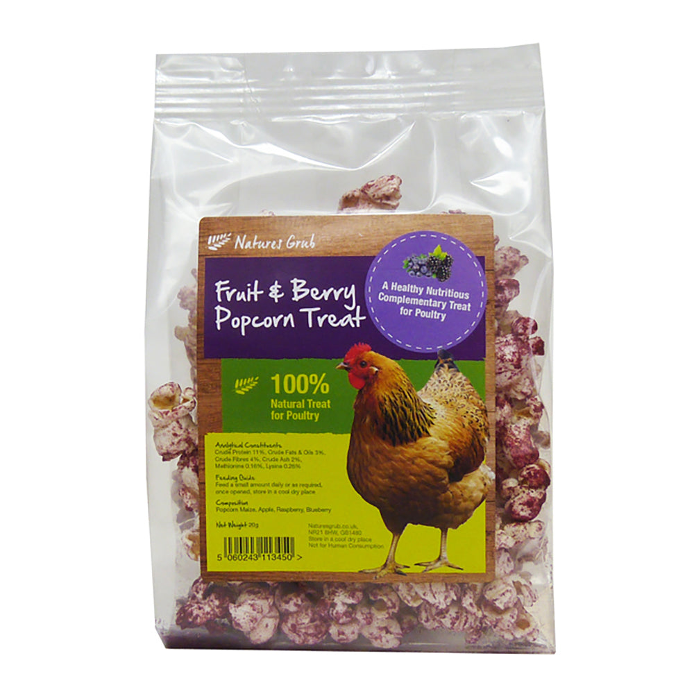 Natures Grub Popcorn Treat With Fruit – The Blue Barn