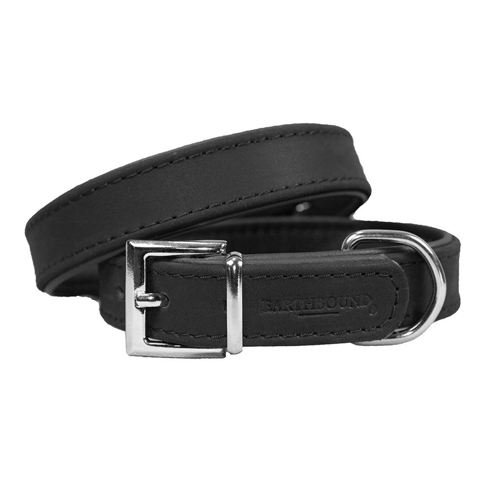 Earthbound Oakland Leather Collar Black – The Blue Barn