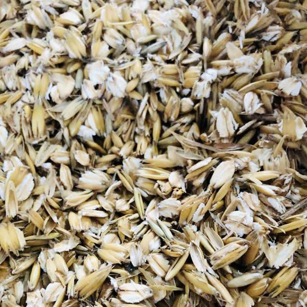 Blue Barn Rolled Oats 20kg – The Blue Barn