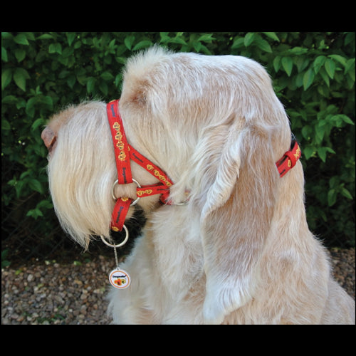 Dogmatic Red Headcollar 2 – The Blue Barn