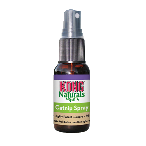 KONG Catnip Spray 30ml – The Blue Barn