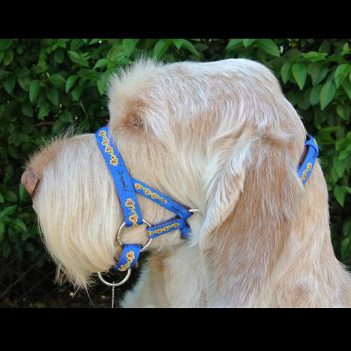 Dogmatic Blue Headcollar 2 – The Blue Barn