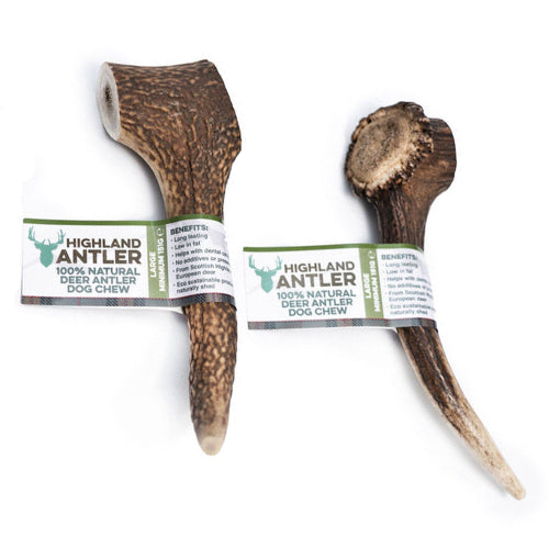 Antler Original Small – The Blue Barn