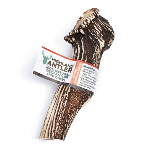 Antler Original Small – The Blue Barn