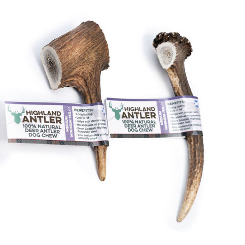 Antler Original Small – The Blue Barn