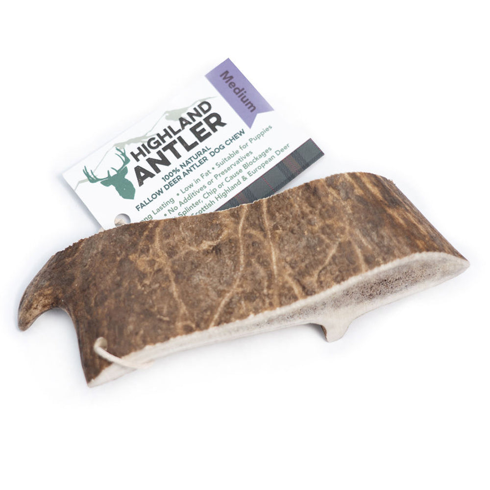 Fallow Antler Medium – The Blue Barn
