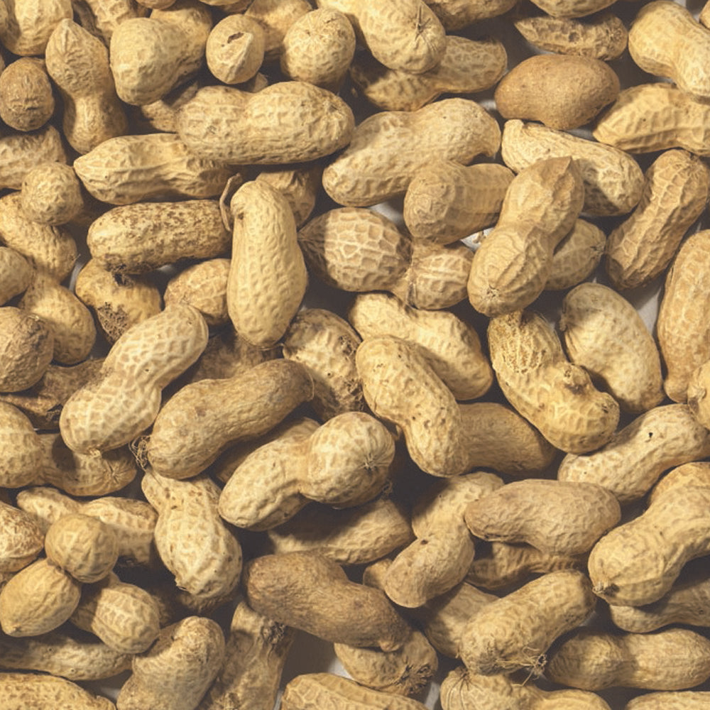 Monkey Nuts In Shells – The Blue Barn