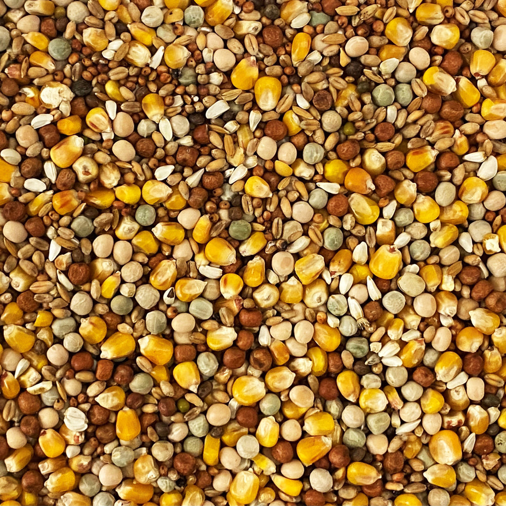 Johnston & Jeff Pigeon Breeding Mix – The Blue Barn