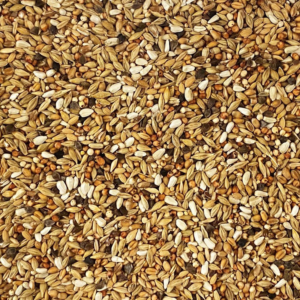 Johnston & Jeff Pigeon Depurative – The Blue Barn