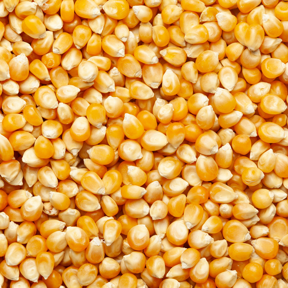 Whole Maize – The Blue Barn